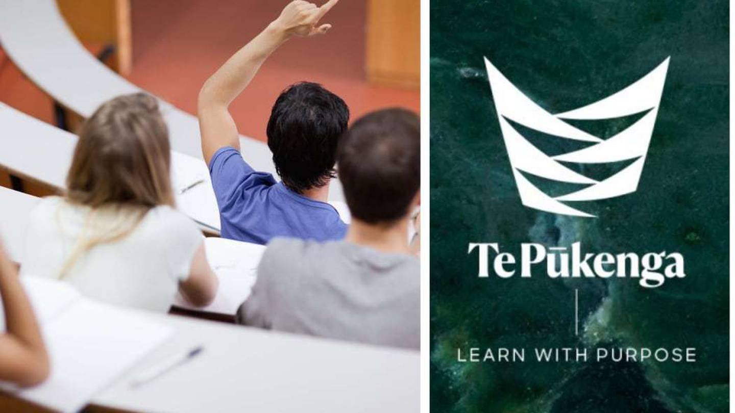 Te Pūkenga changes: Minister Penny Simmonds says move will reduce ...