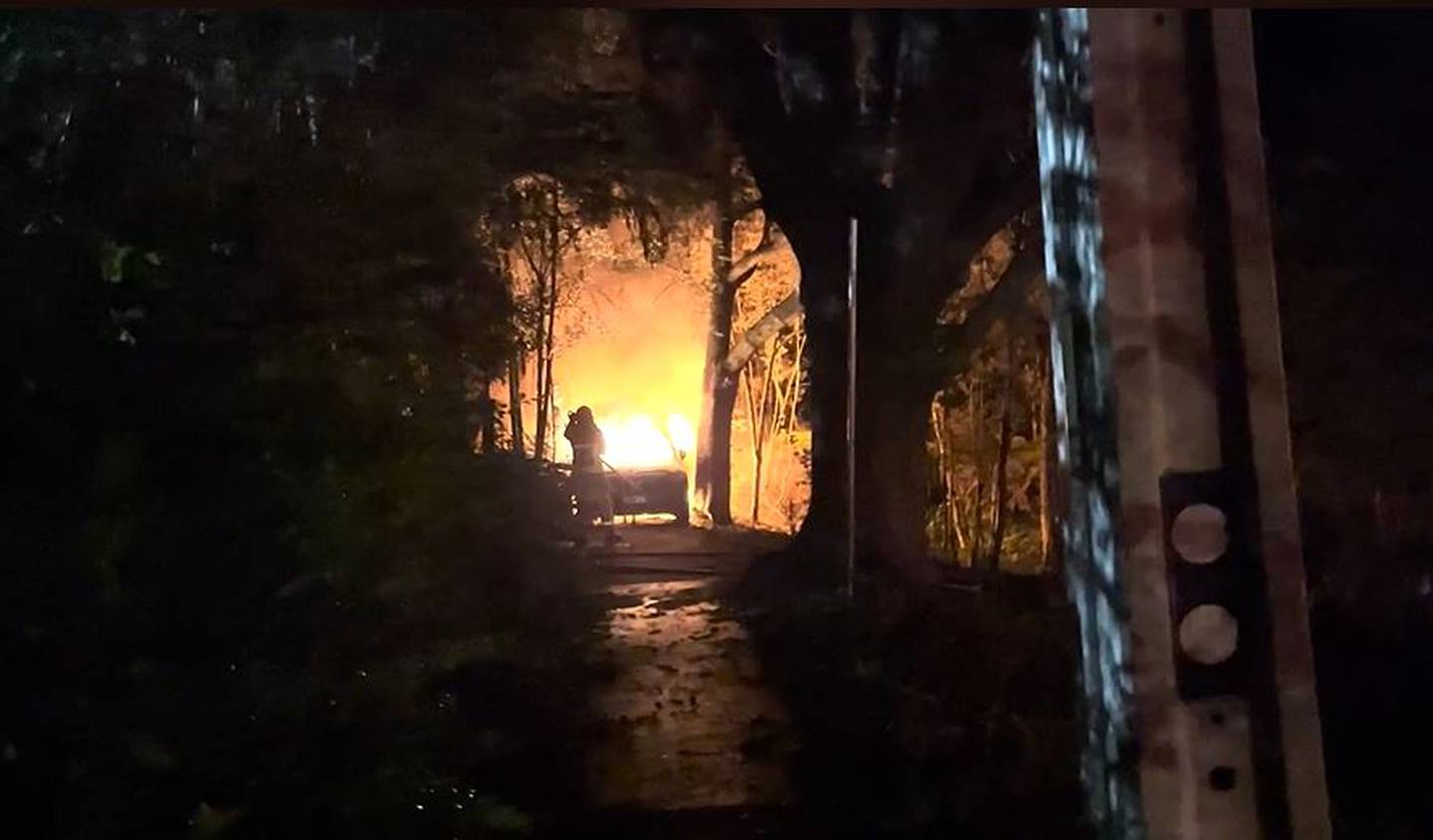 Abandoned car set alight in North Shore, threatening trees and homes