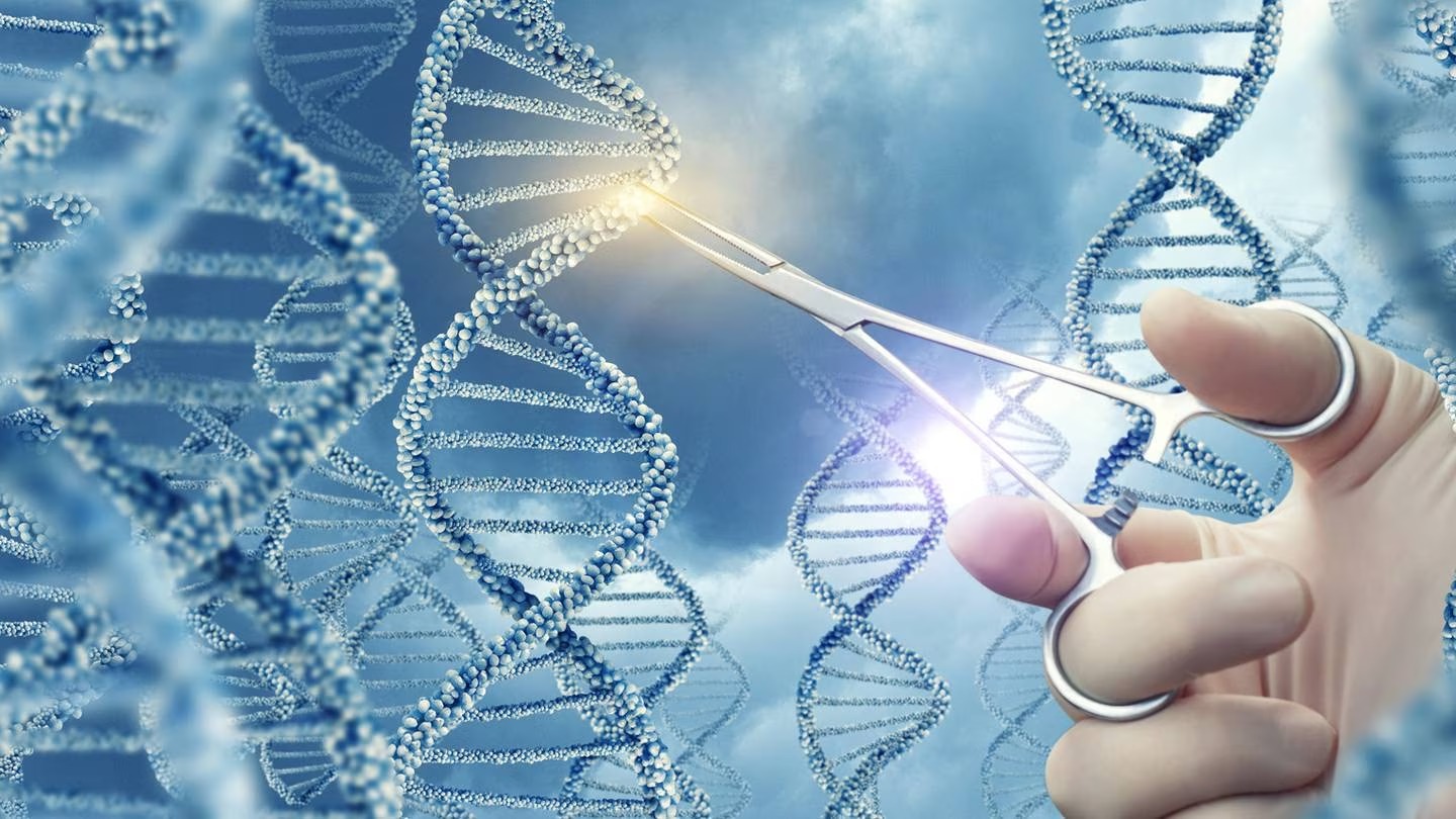 Patients with debilitating illness say gene-editing trial has relieved ...
