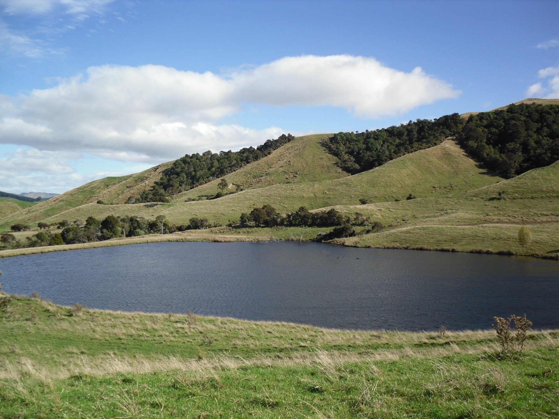 Farmers welcome National's water storage policy